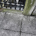 Edward Lee - Official Website