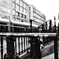 Edward Lee - Official Website